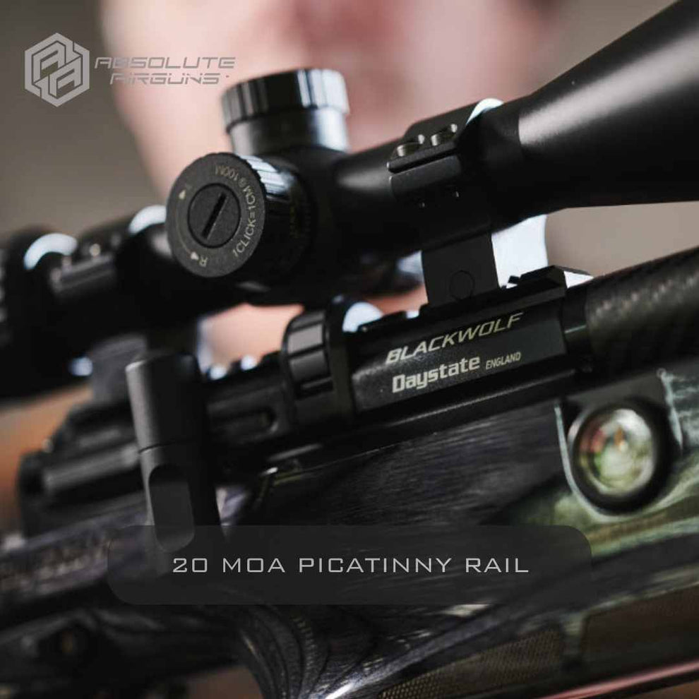 DAYSTATE BLACK WOLF WALNUT HI LITE – Absolute Airguns