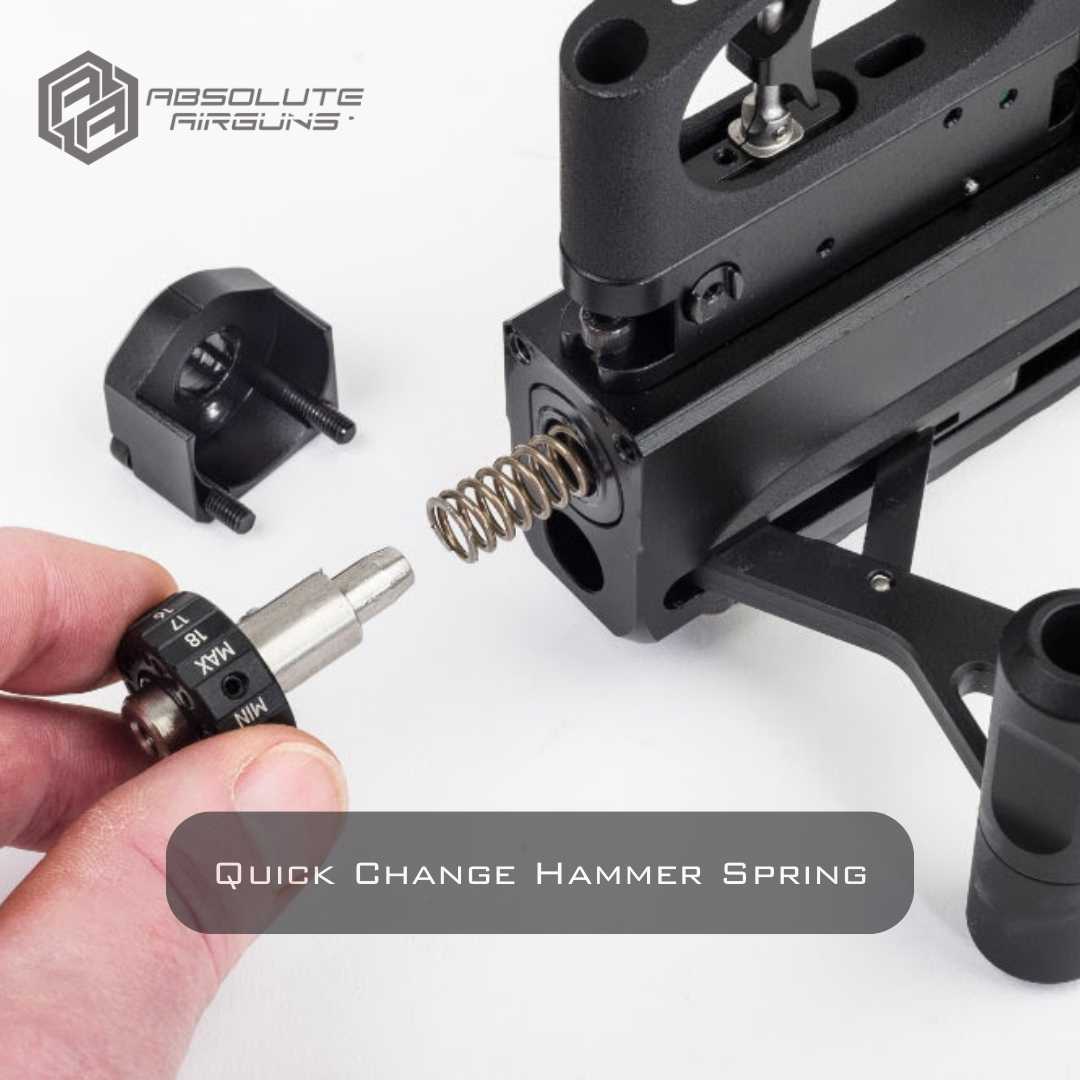 DAYSTATE BLACK WOLF WALNUT HI LITE – Absolute Airguns