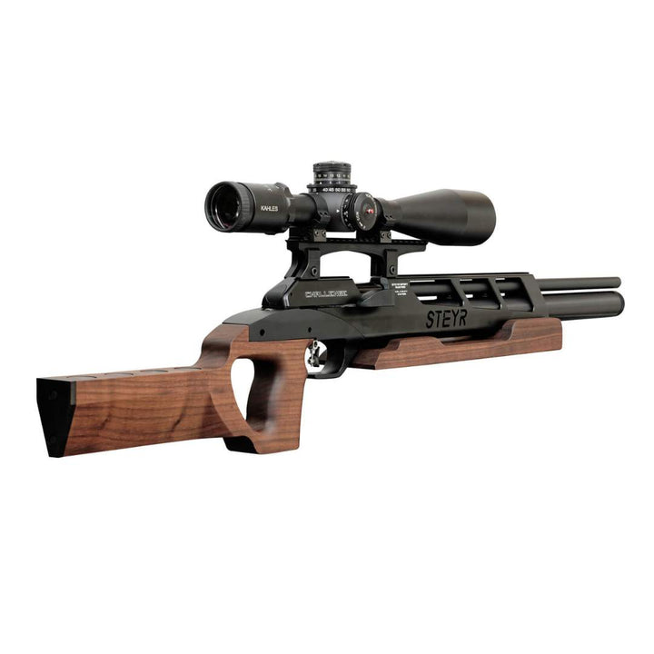 Steyr Challenge LG110, Pro X & Hunting 5 – PCP Air Rifles UK – Absolute ...